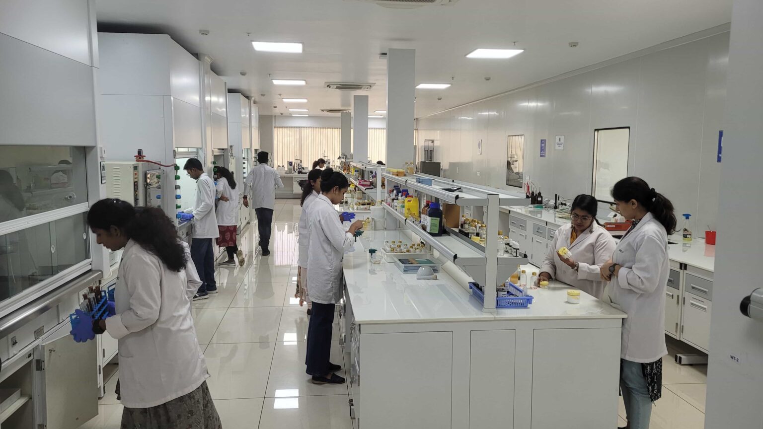 About - Plant Lipids