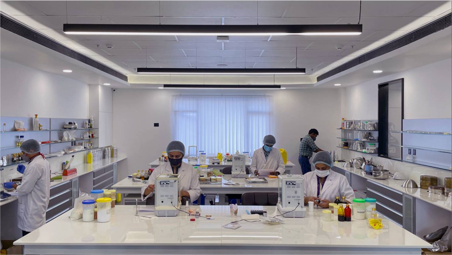 Seasonings Manufacturer | Powder seasoning | Liquid blends