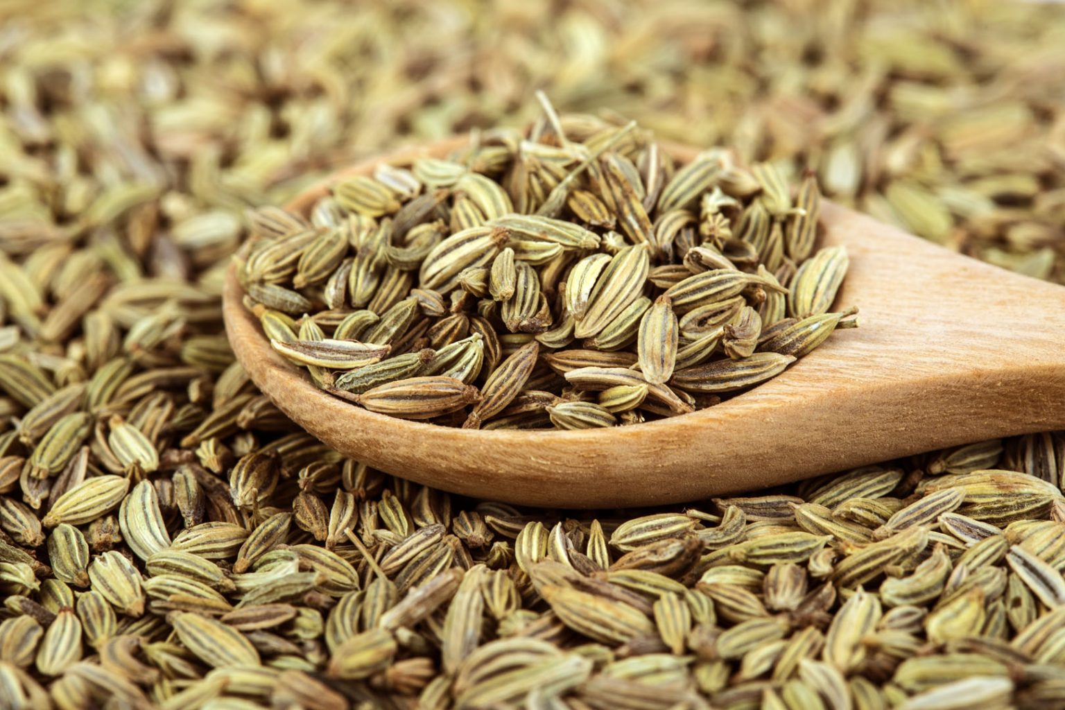 Cumin Manufacturer | Cumin Exporter & Supplier