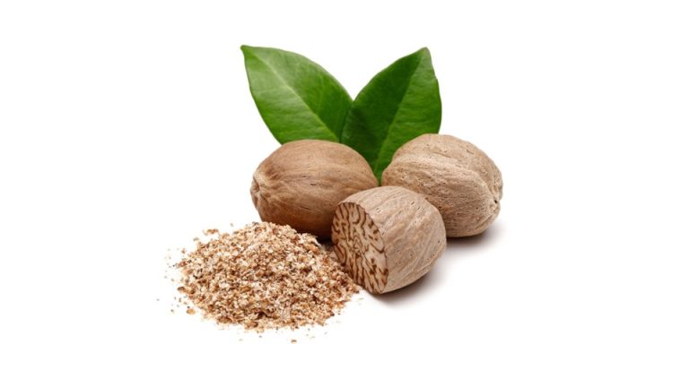 Nutmeg Manufacturer | Nutmeg Exporter & Supplier