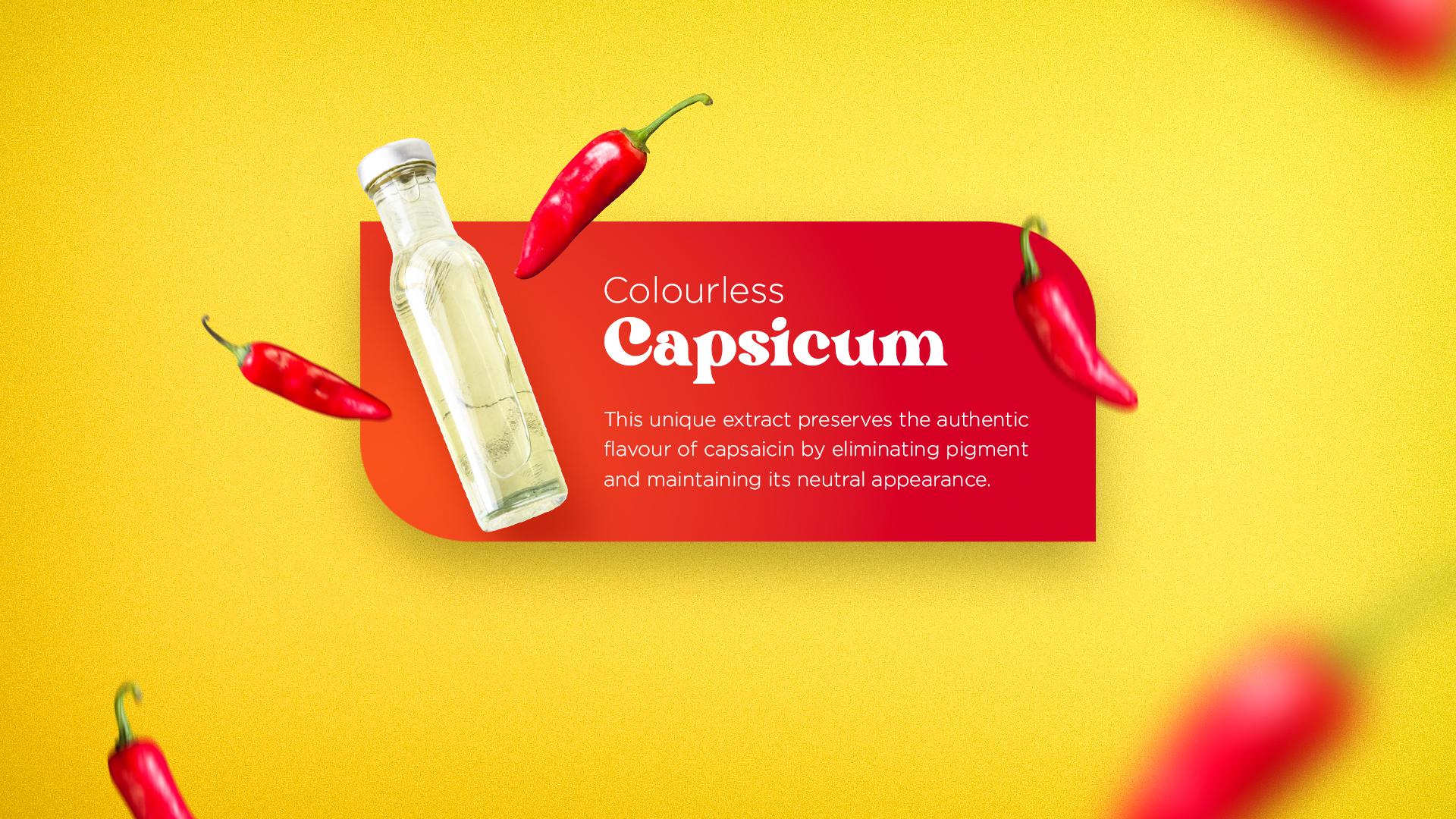 Decolourised Capsicum | Colourless Capsicum Oleoresin Manufacturer